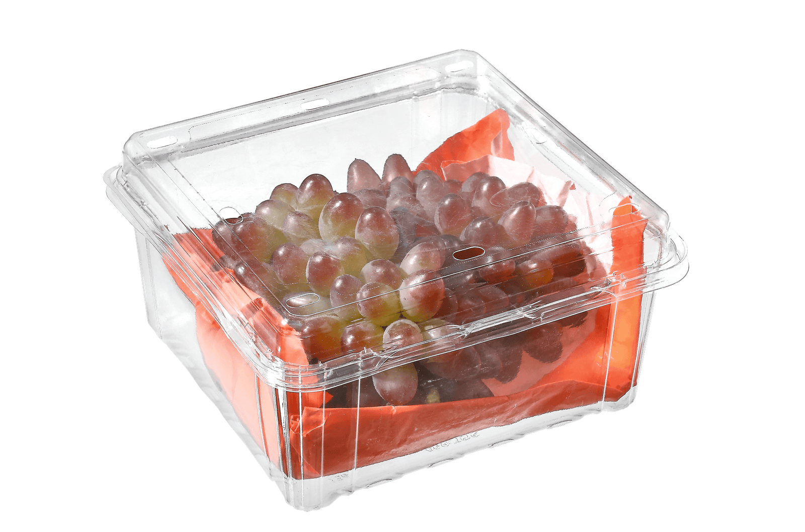 PET Rectangular Plastic Fruit Container for Raisin & Hawthorn – Ningbo ...