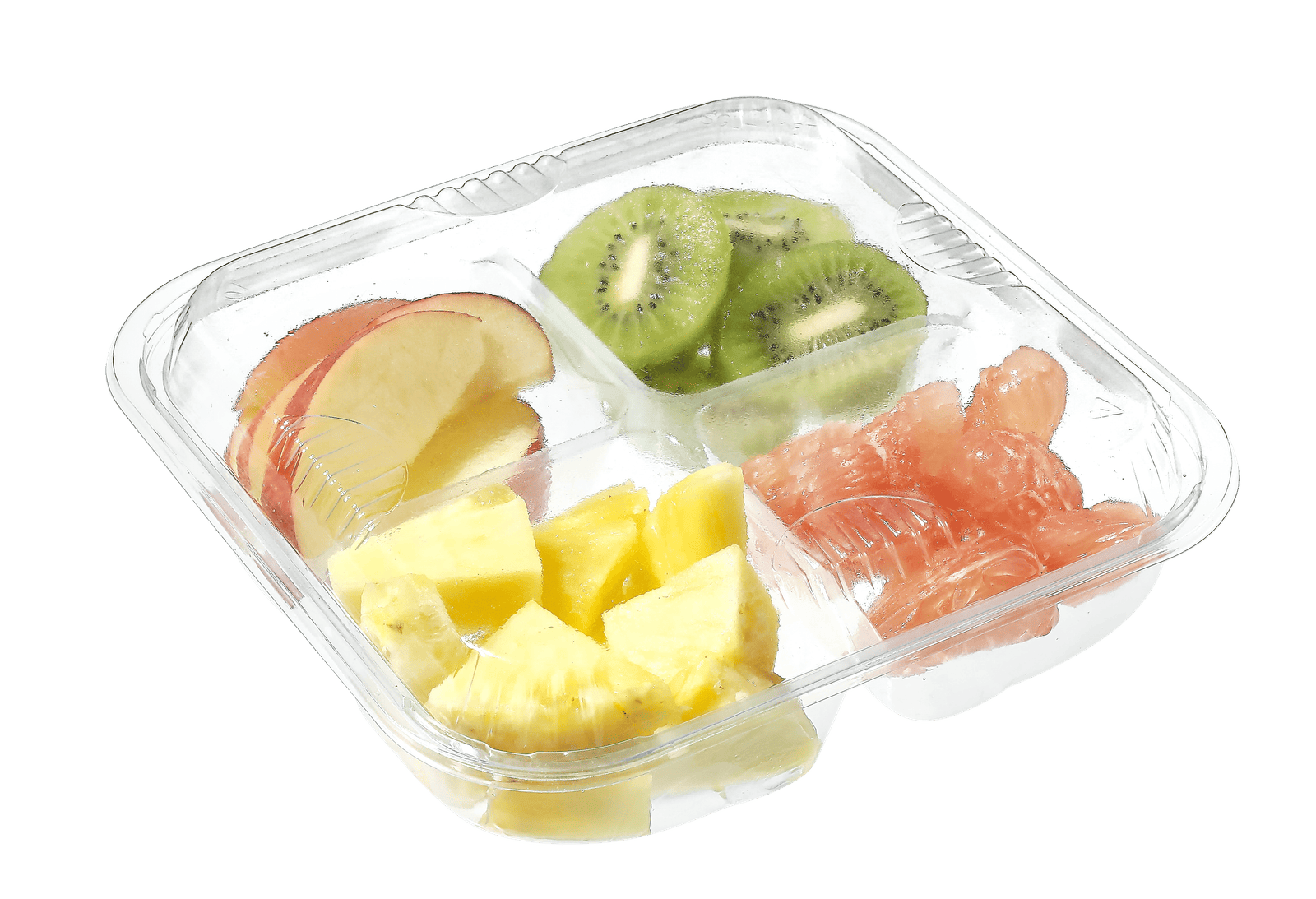 PET Rectangular 3-4 Compartments Sliced Fruit Container – Ningbo Well ...