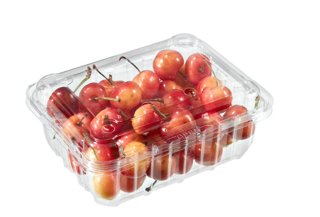 PET Rectangular Plastic Fruit Container for Cherry – Ningbo Well ...